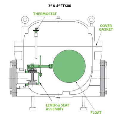 FT600-145/FT601-145 (145PSIG & 1" Size) – Boiler Technologies